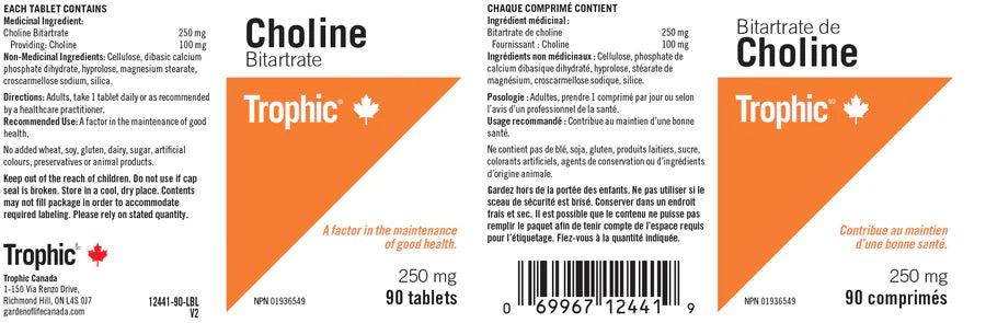 CHOLINE BITARTRATE 250 MG 90 TABS TROPHIC – Ave Maria Health