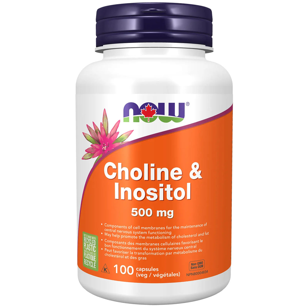 CHOLINE & INOSITOL 500 MG 100 CAPS NOW – Ave Maria Health