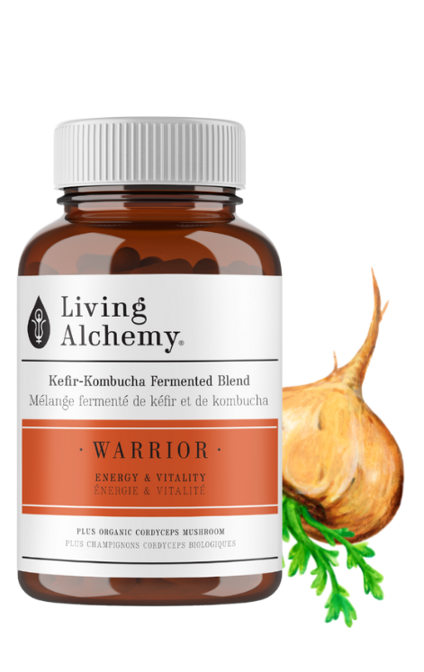 WARRIOR 60 CAPS LIVING ALCHEMY – Ave Maria Health